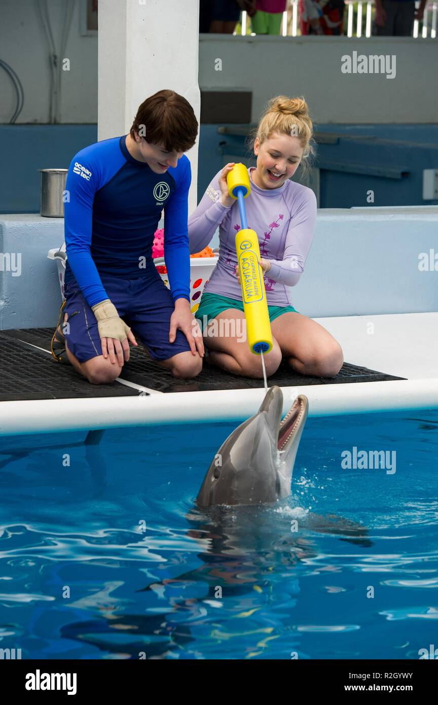 Boy swimming pool wetsuit hi-res stock photography and images - Alamy