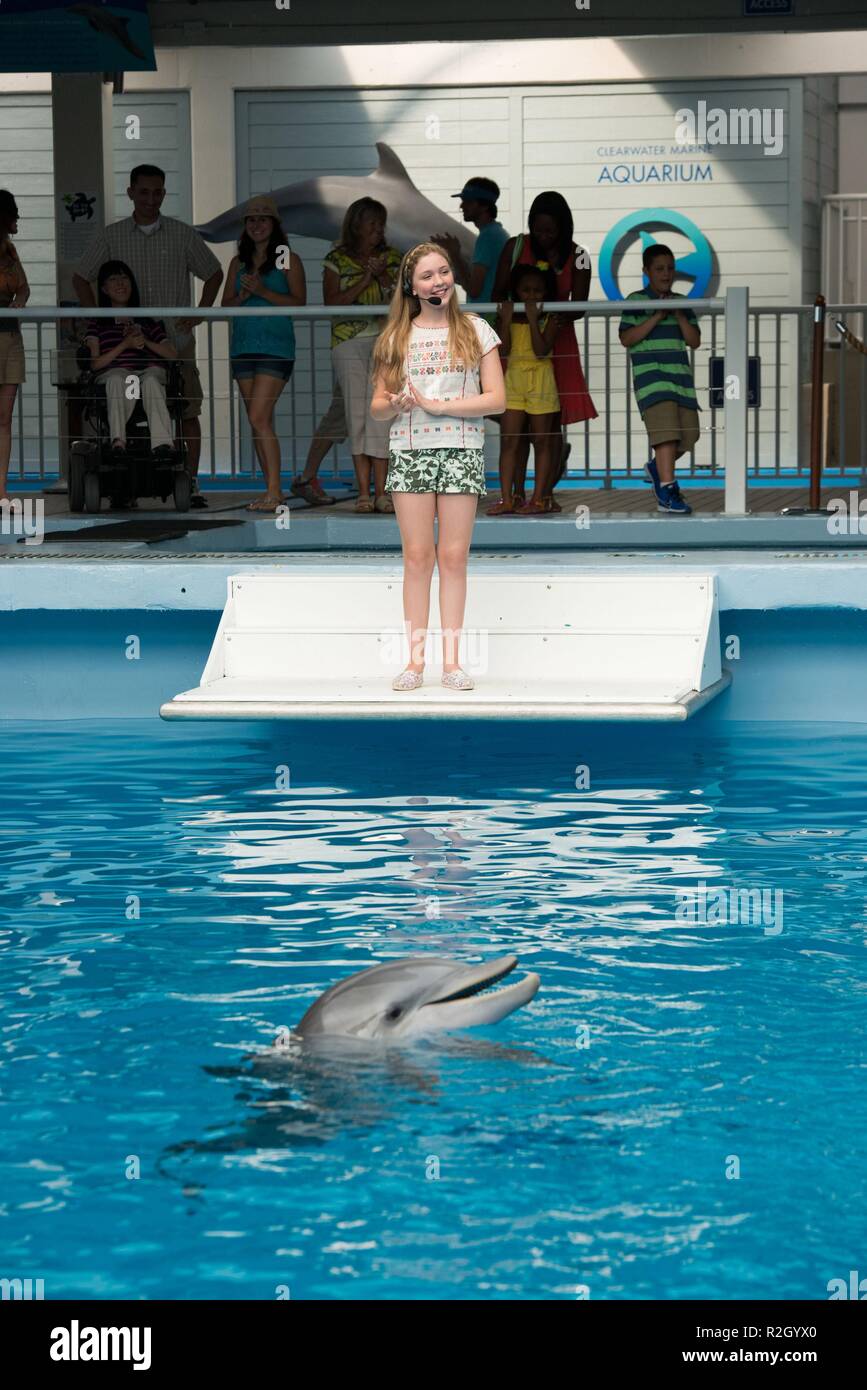 Dolphin Tale 2 Logo