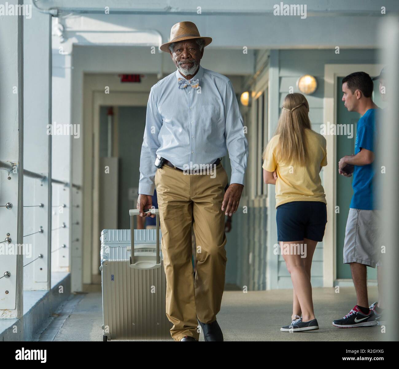 Dolphin tale 2 hi-res stock photography and images - Alamy