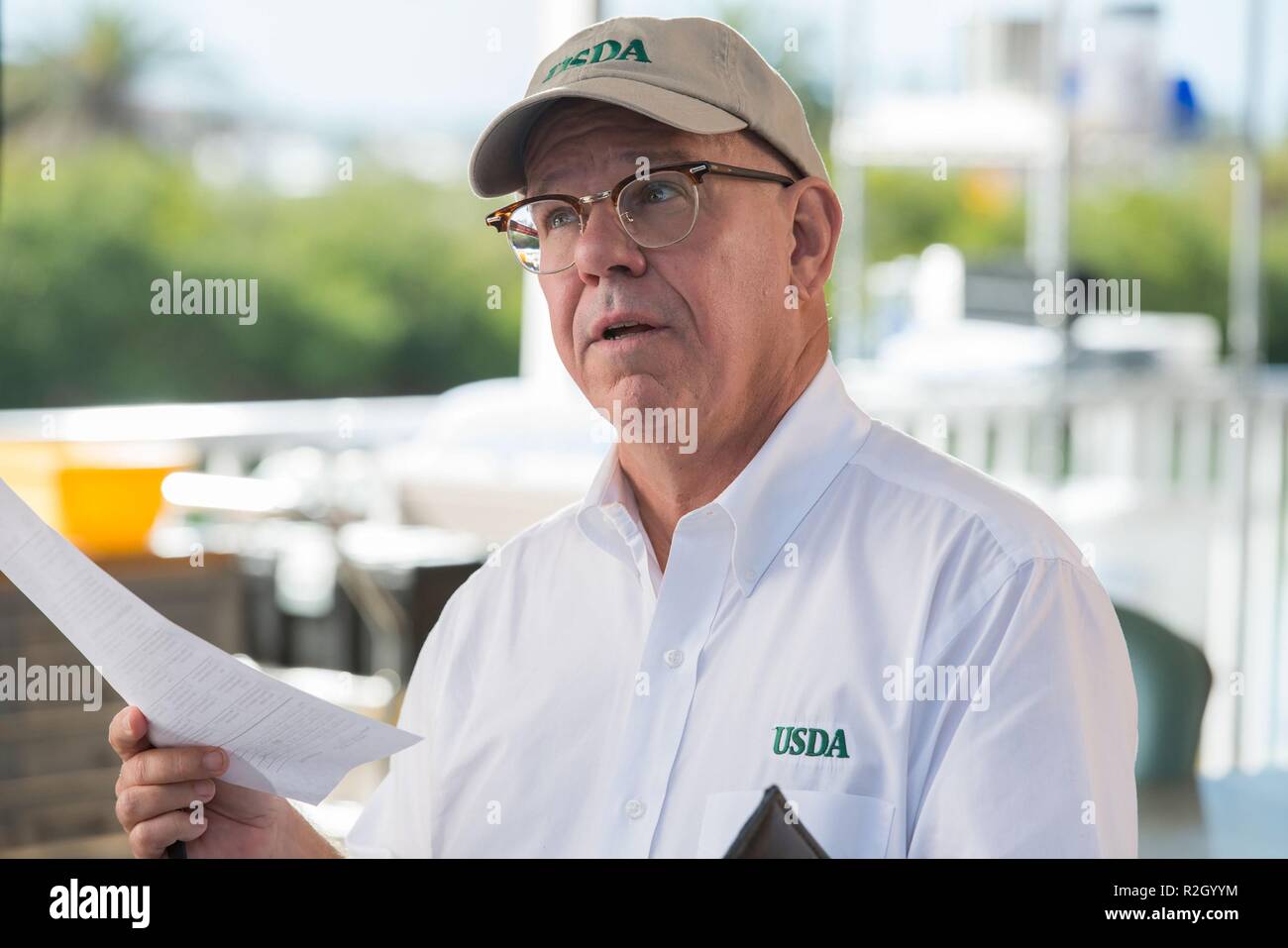 Dolphin Tale 2 Year : 2014 USA Director : Charles Martin Smith Charles ...