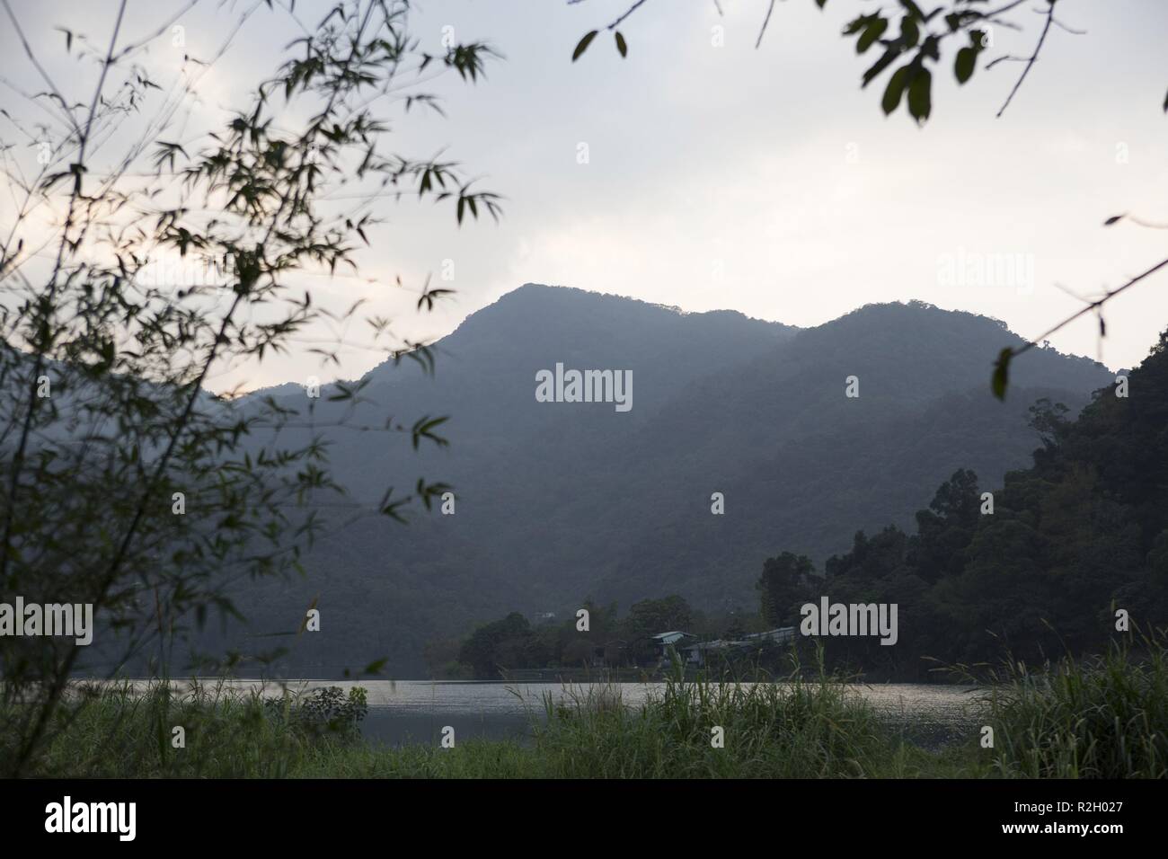Shu jia hi-res stock photography and images - Alamy