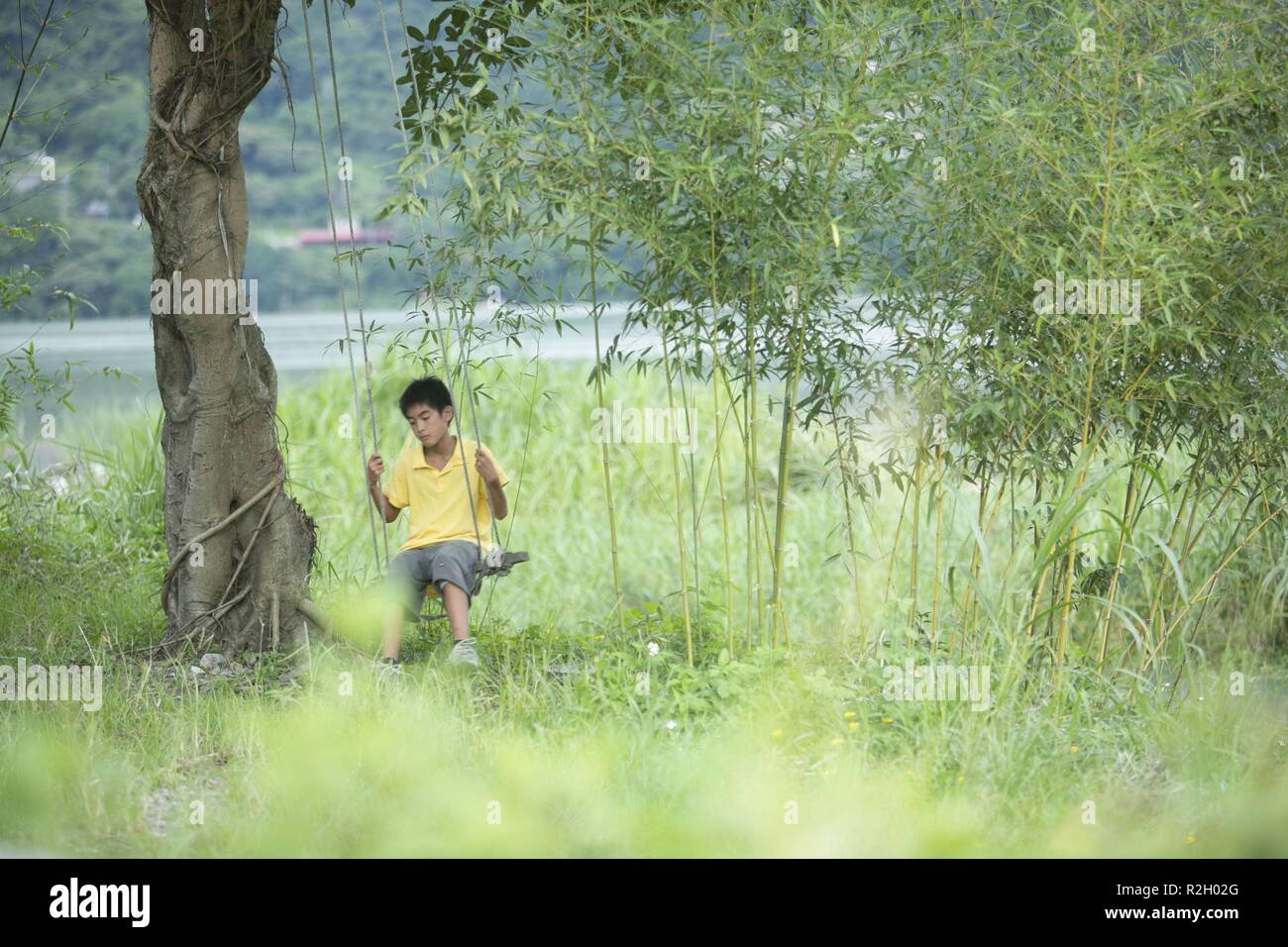 Shu jia zuo ye A Time in Quchi Year : 2013 Taiwan Director : Tso-chi ...
