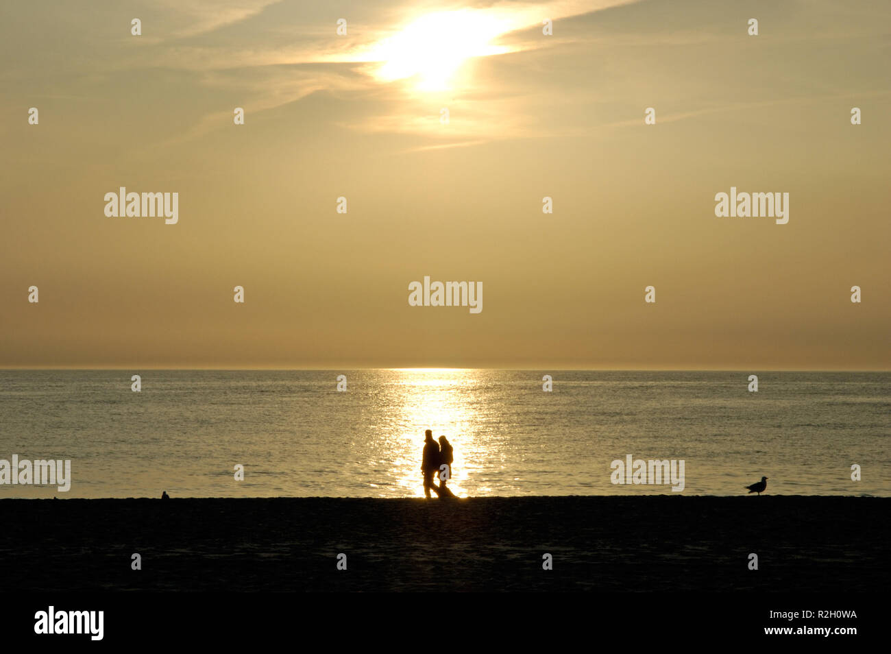 at the beach Stock Photo - Alamy