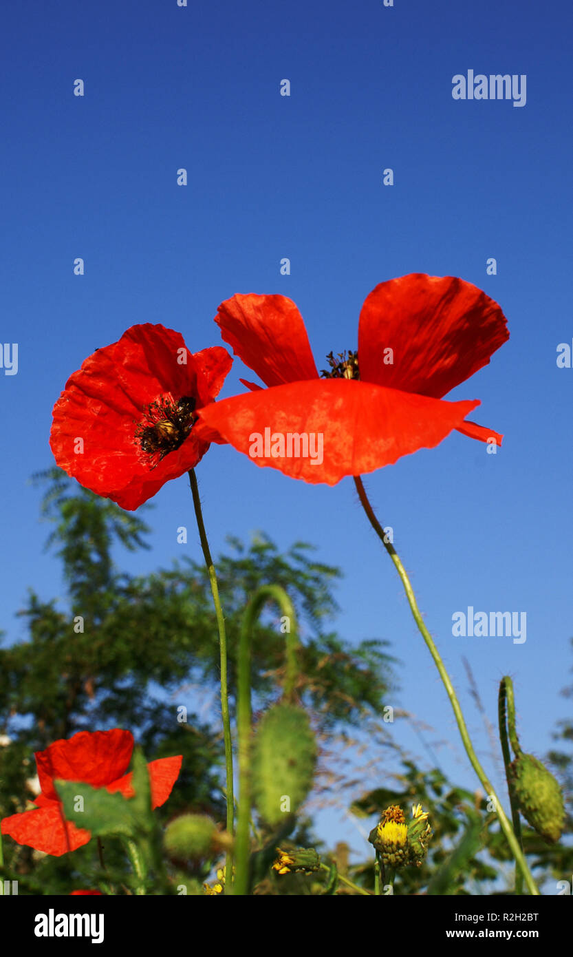 Ten acre field hi-res stock photography and images - Alamy