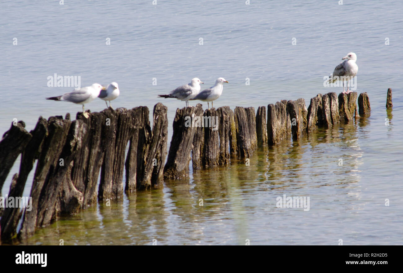 Ausgegrenzt hi-res stock photography and images - Alamy