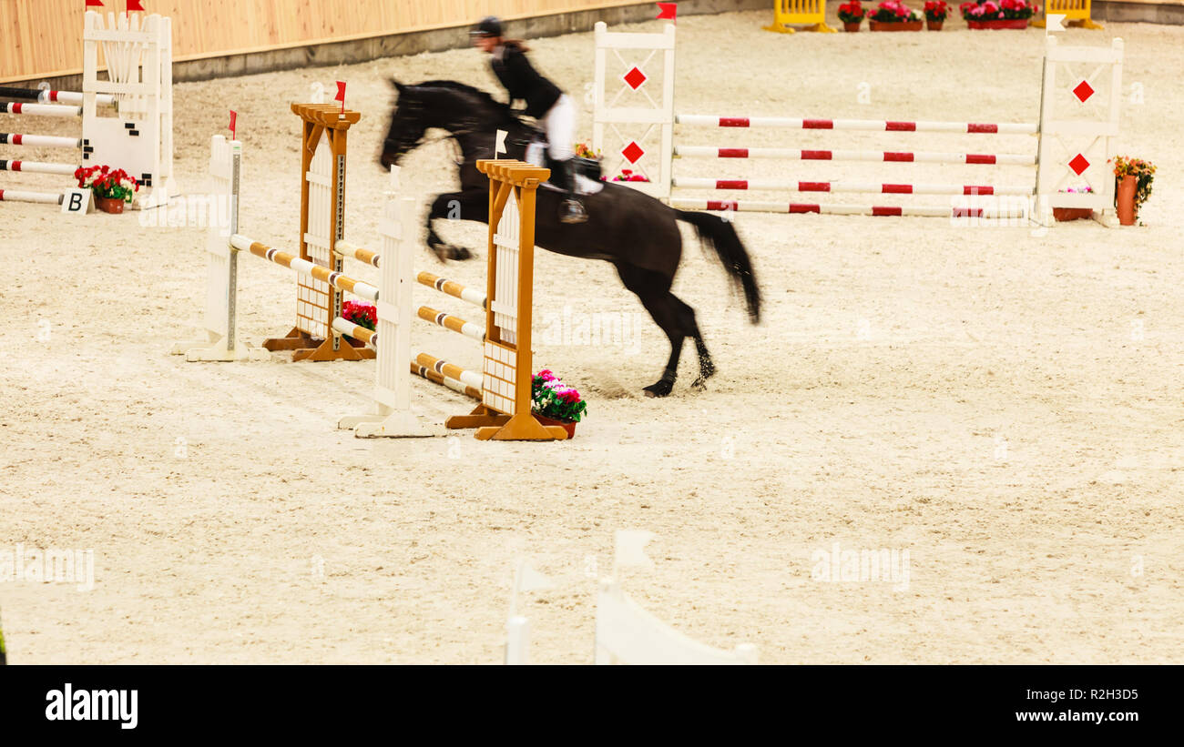 Equitation. Riding competition. Show jumping, horse and rider over jump ...