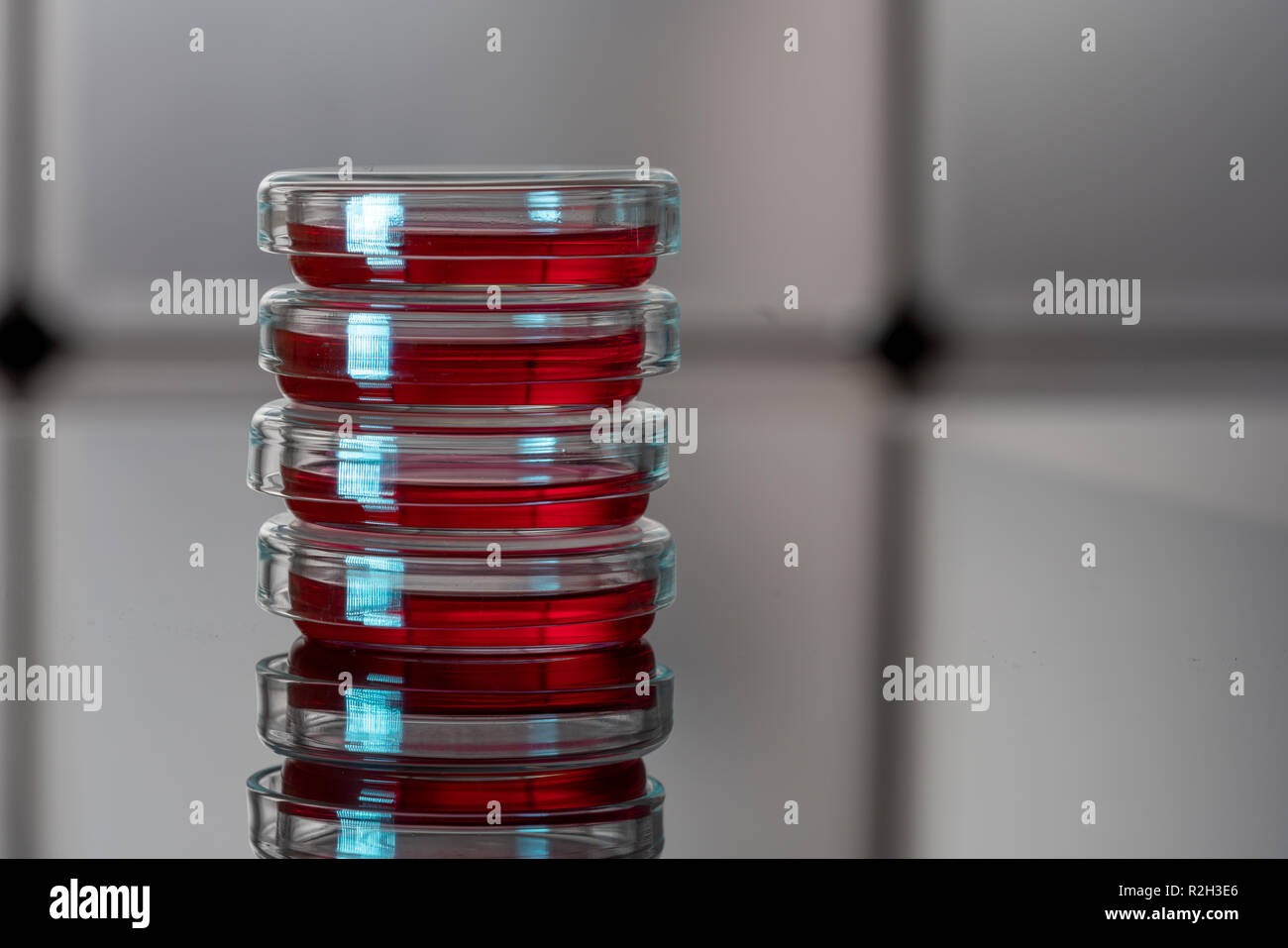 Petri dish with red substance in lab Stock Photo - Alamy