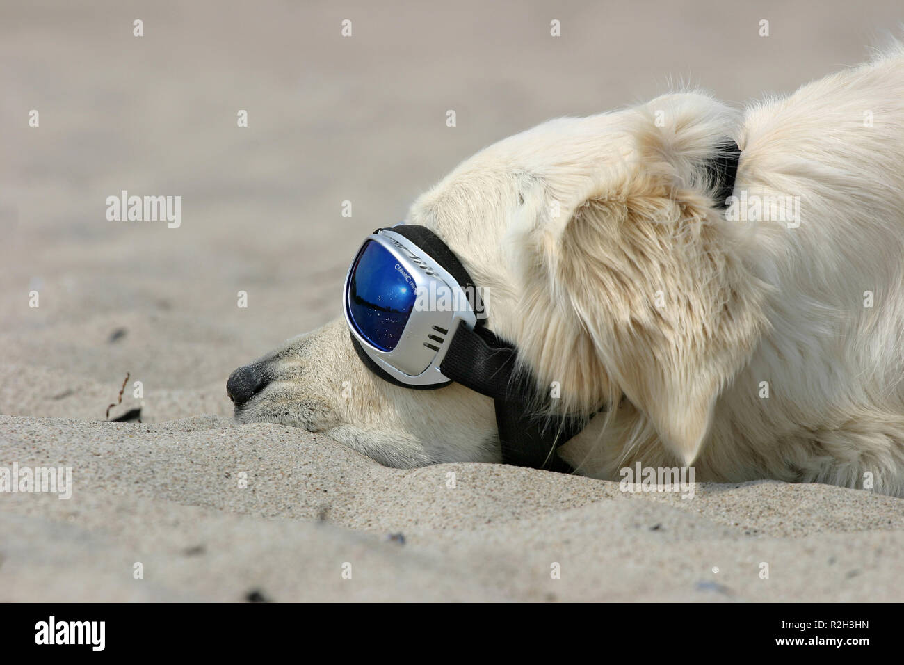 mei ruh wants hab'n i Stock Photo - Alamy