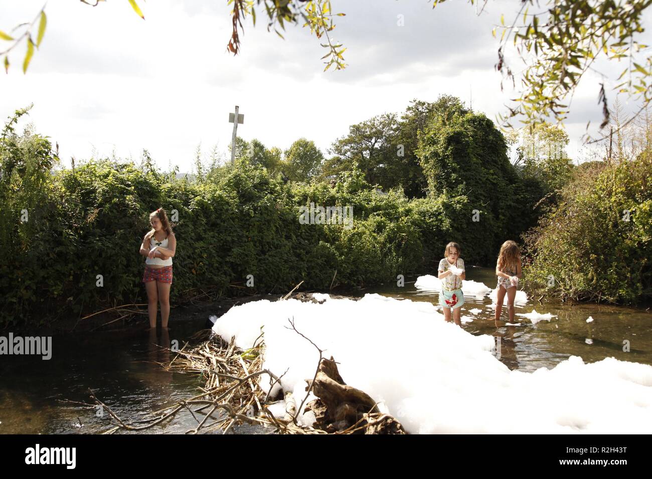Le Meraviglie The Wonders Year : 2014 Italy / Switzerland Director ...