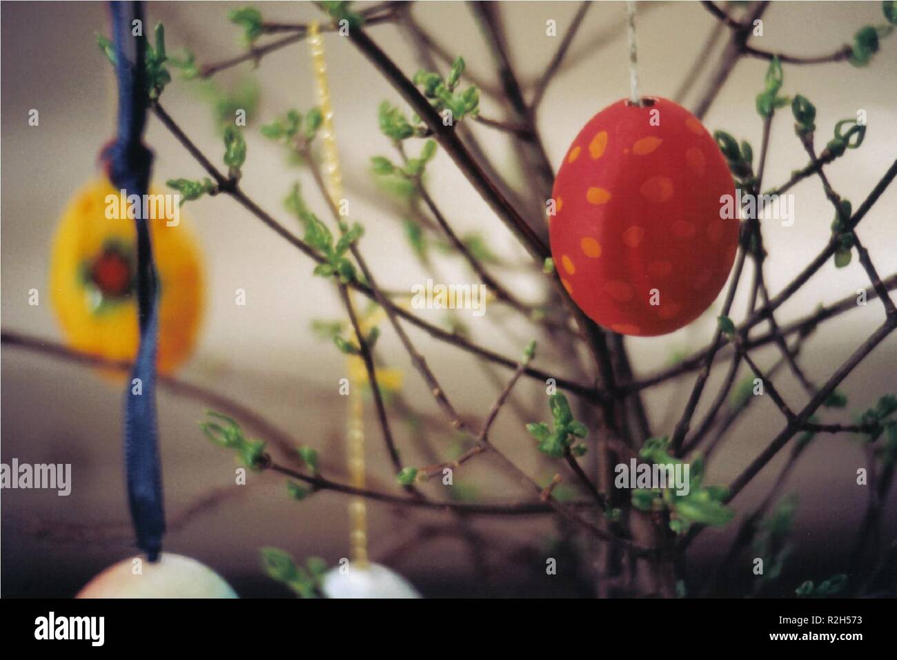 easter egg on osterstrauch Stock Photo - Alamy