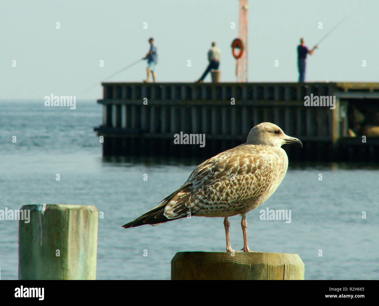 Like minded hi-res stock photography and images - Alamy
