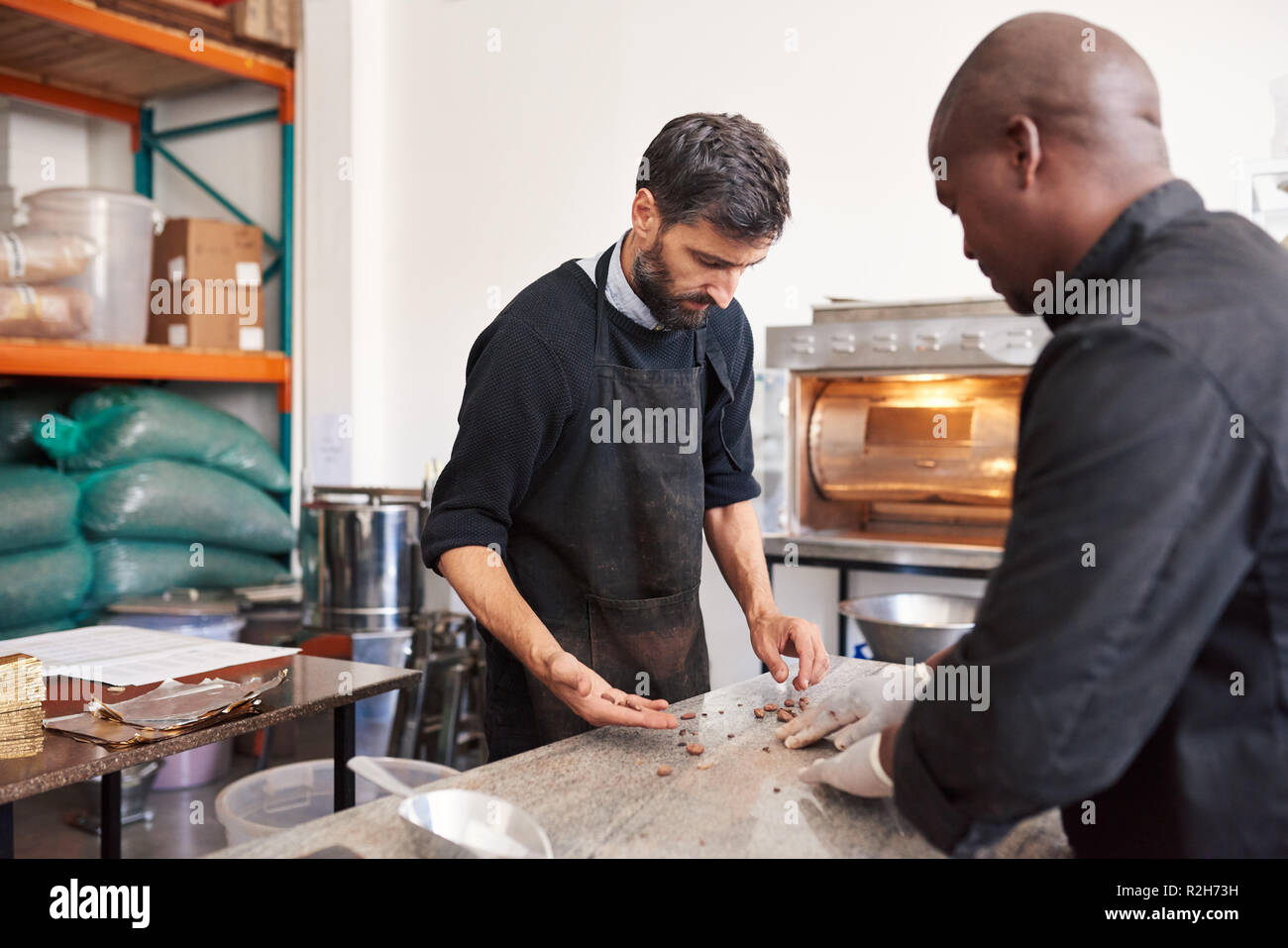 Two workers sorting cocoa beans in a chocolate making factory Stock ...