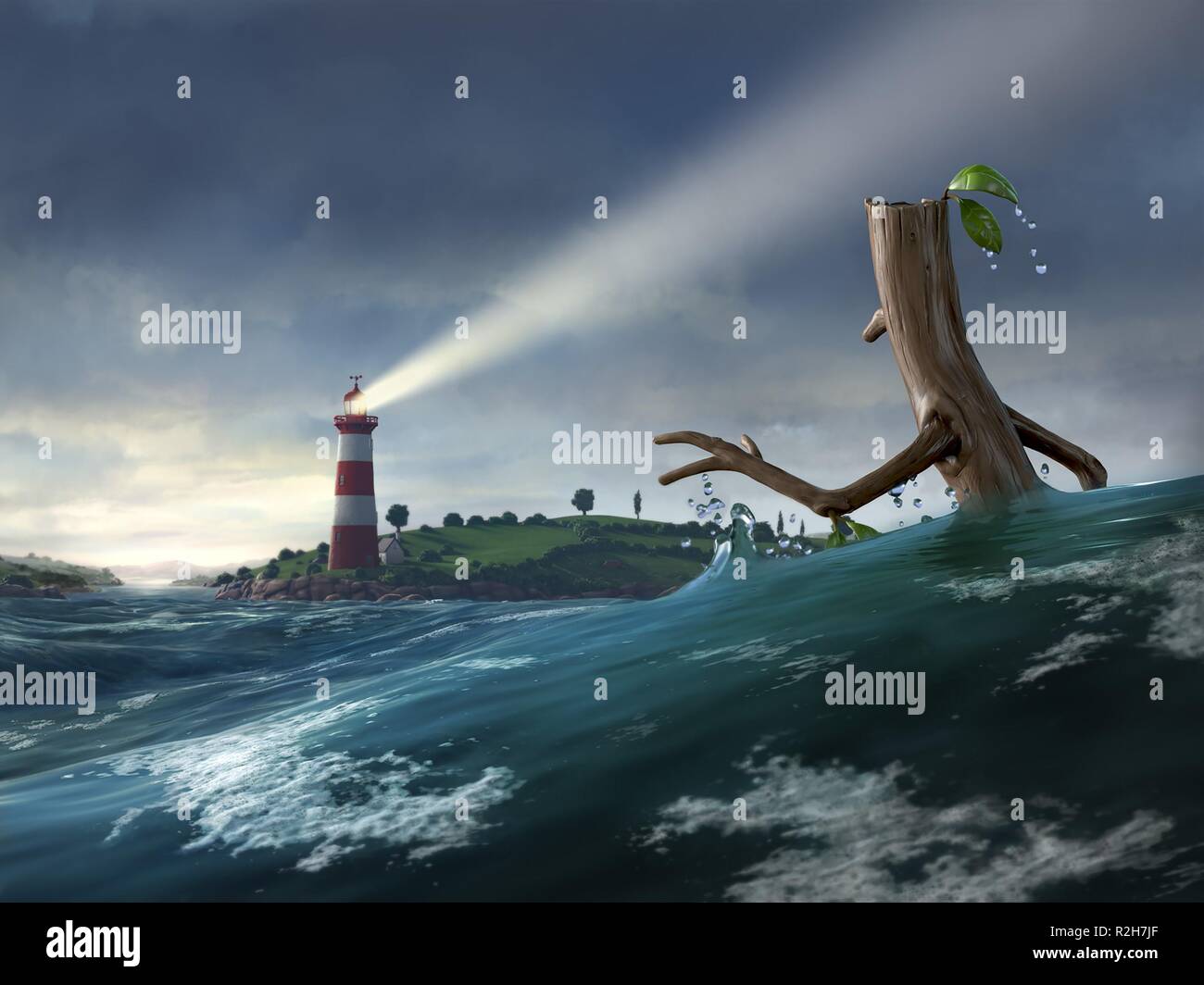 2015 uk tree of the year hi-res stock photography and images - Alamy