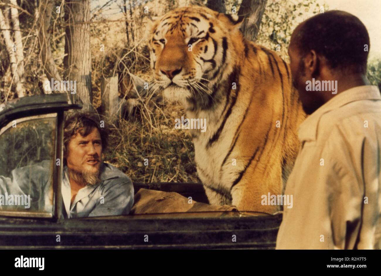 Roar Year : 1981 USA Director : Noel Marshall Noel Marshall, Kyalo ...