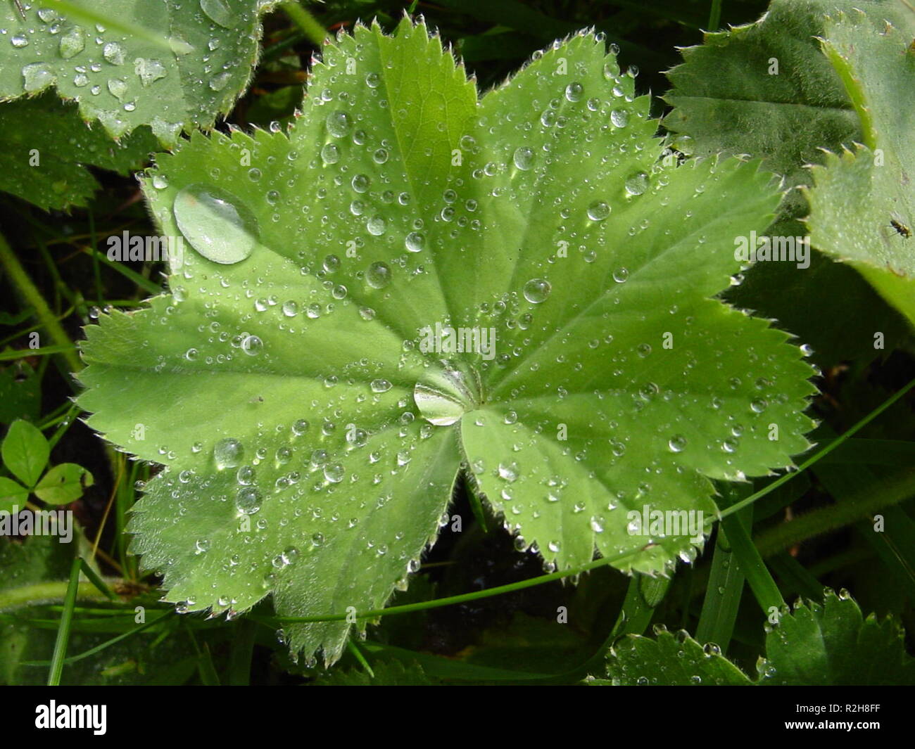 After rain comes sun hi-res stock photography and images - Alamy