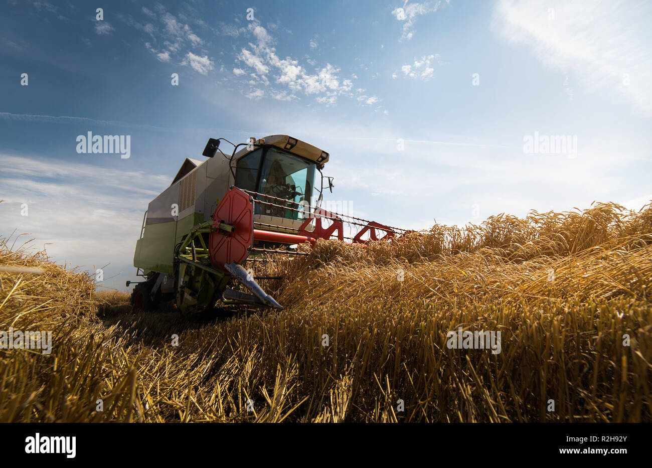 Harvesting of wheat fields with combine Stock Photo - Alamy