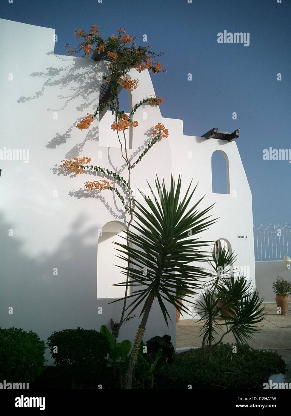 flowery house facade Stock Photo - Alamy