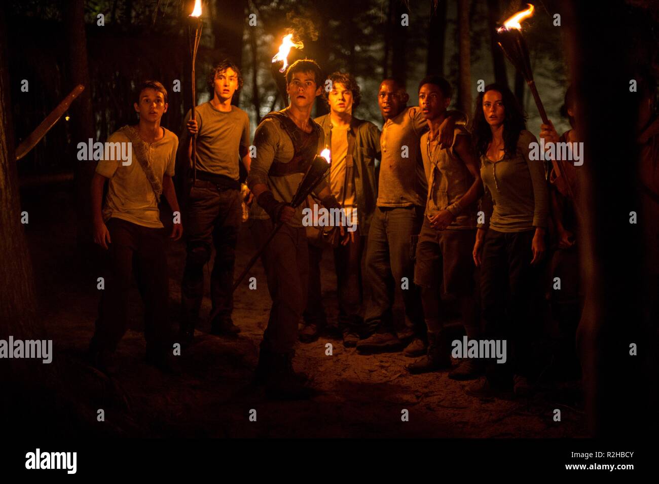 The Maze Runner Year : 2014 USA Director : Wes Ball Dylan O'Brien, Aml ...
