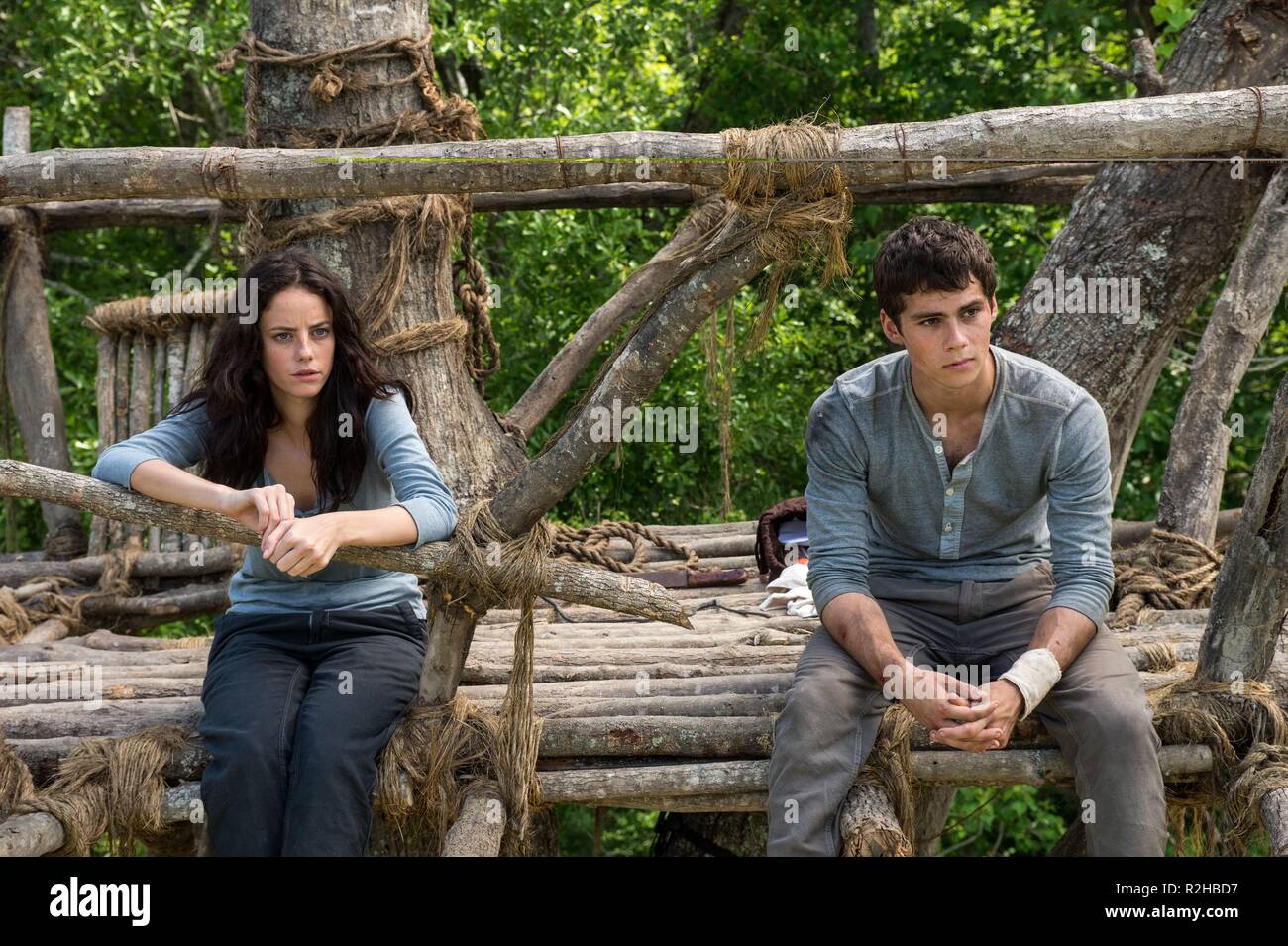 The Maze Runner Year : 2014 USA Director : Wes Ball Kaya Scodelario ...