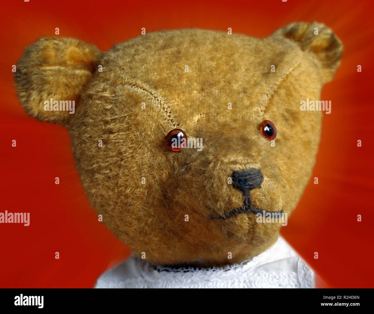 Teddy roosevelt bear hi-res stock photography and images - Alamy