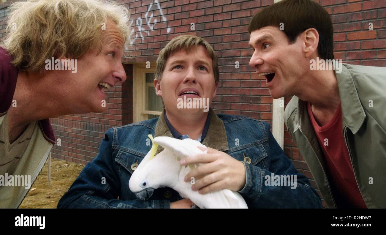 Jim Carrey Dumb And Dumber Tooth