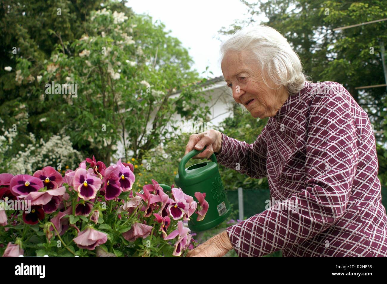 your daily task Stock Photo - Alamy