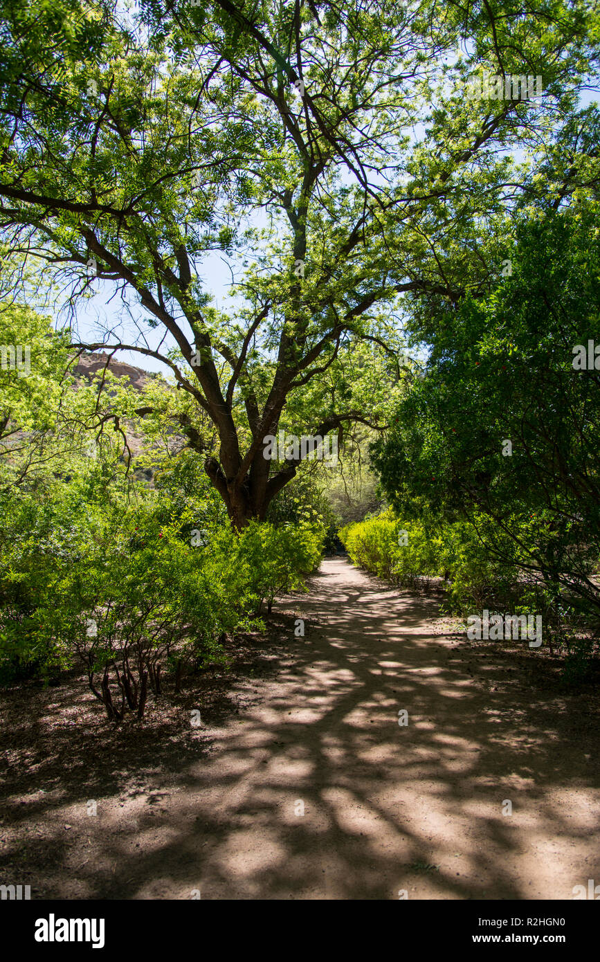 Desert path hi-res stock photography and images - Alamy