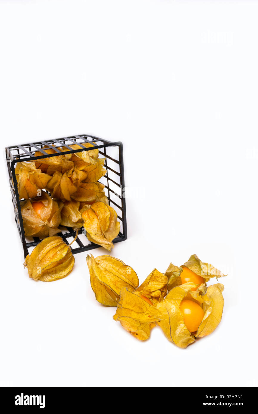 Physalis group closeup isolated on white background in black box basket ...