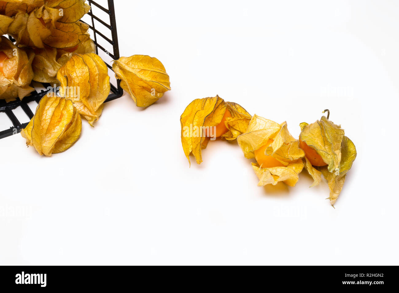 Physalis group closeup isolated on white background in black box basket ...