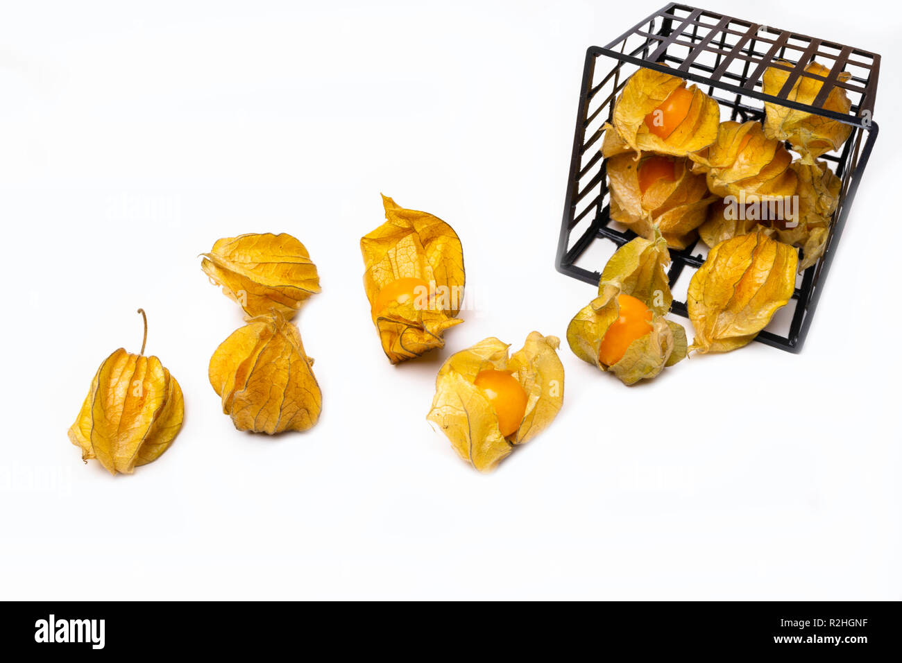 Physalis group closeup isolated on white background in black box basket ...