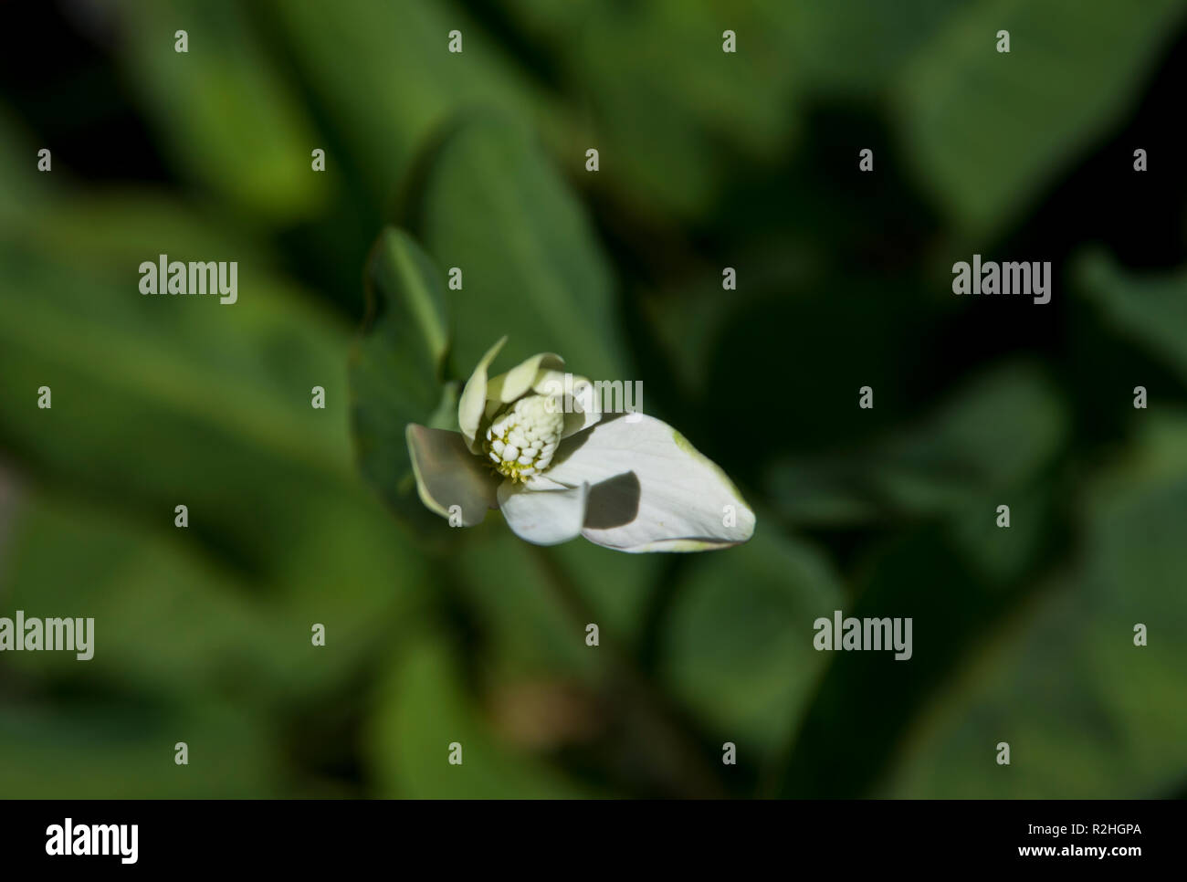 Calm spring hi-res stock photography and images - Alamy