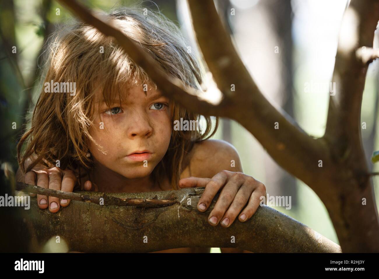 Pete's Dragon Year : 2016 USA Director : David Lowery Oakes Fegley ...