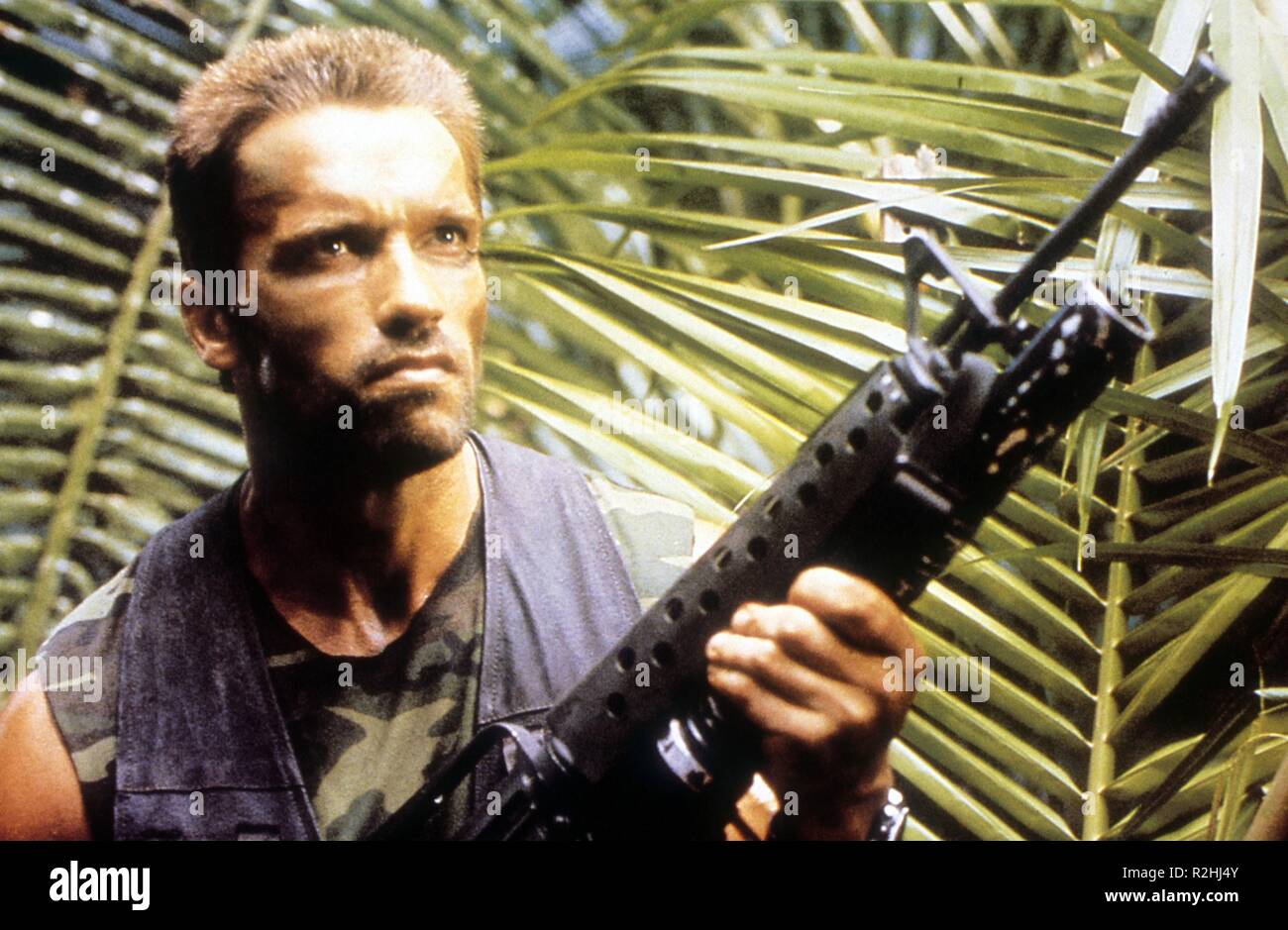 Predator Year : 1987 USA Director : John McTiernan Arnold ...