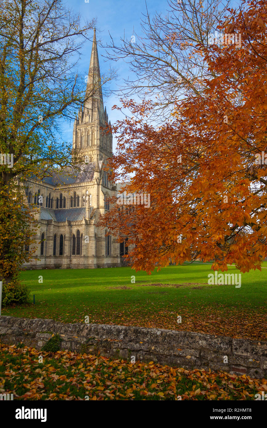 From the close hi-res stock photography and images - Alamy