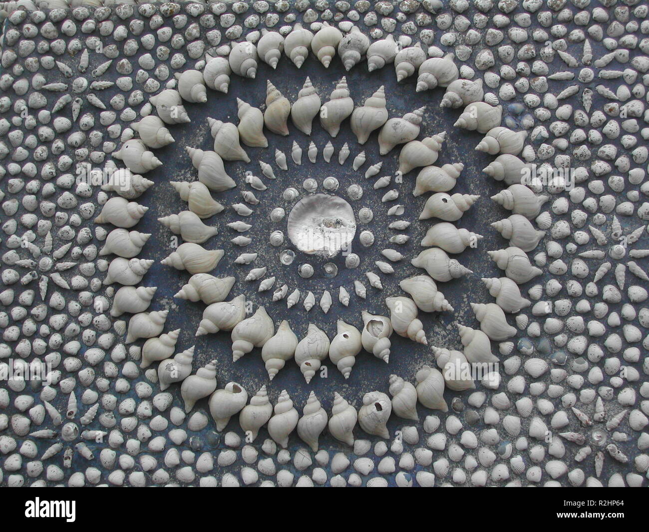 Ornate shell design hi-res stock photography and images - Alamy