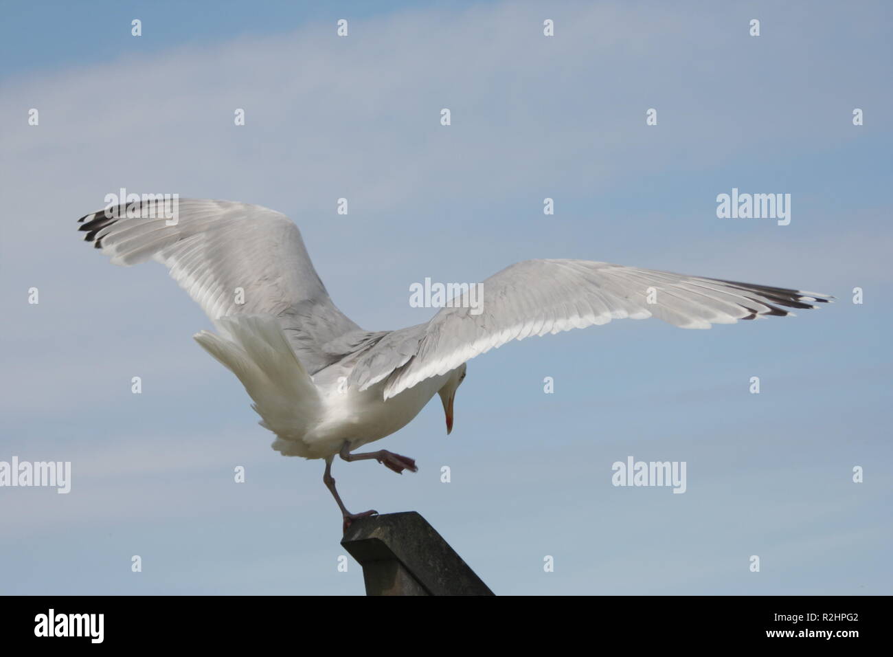 Dance rail hi-res stock photography and images - Alamy