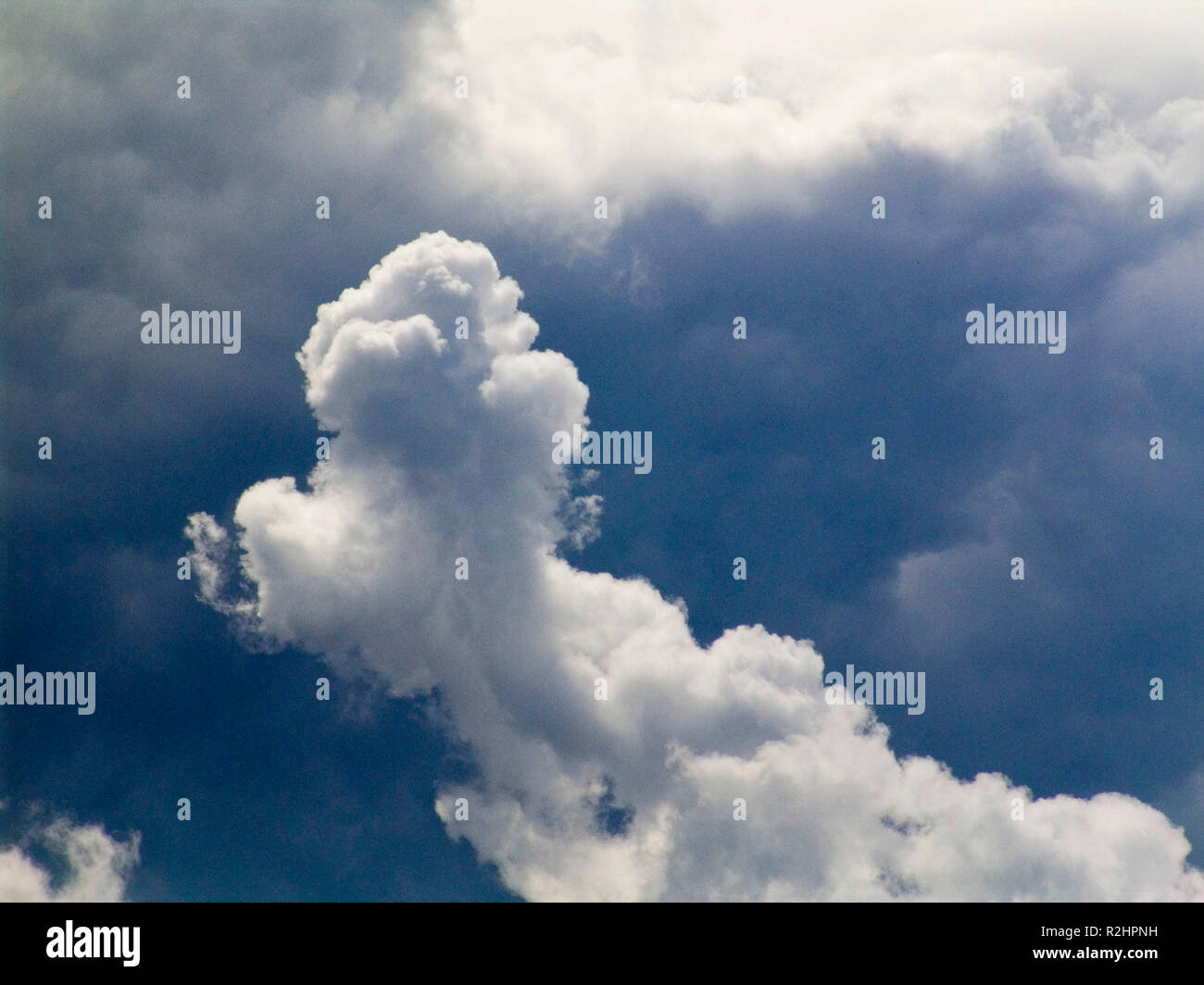 Cumulusmediocris hi-res stock photography and images - Alamy