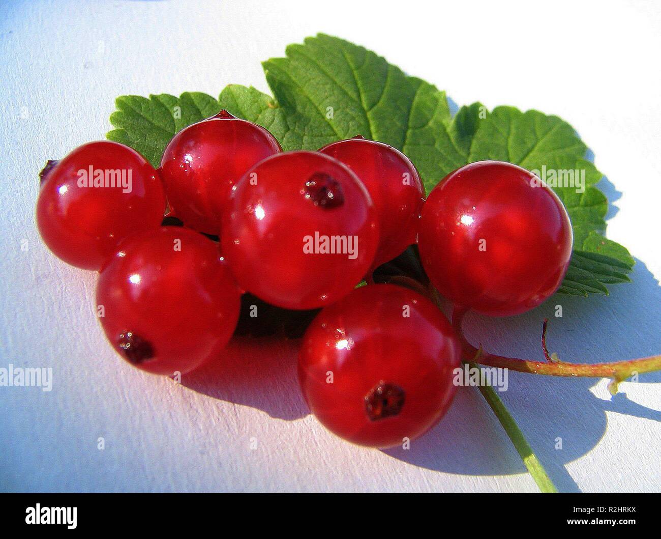Fruch hi-res stock photography and images - Alamy