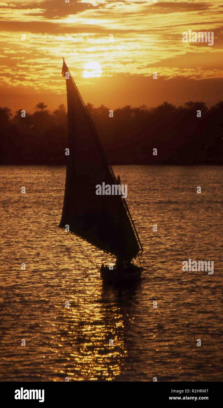 feluke on the nile Stock Photo - Alamy