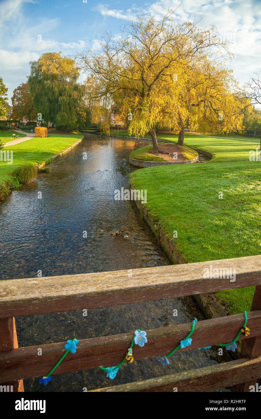 Queen Elizabeth Gardens in Salisbury England Stock Photo - Alamy