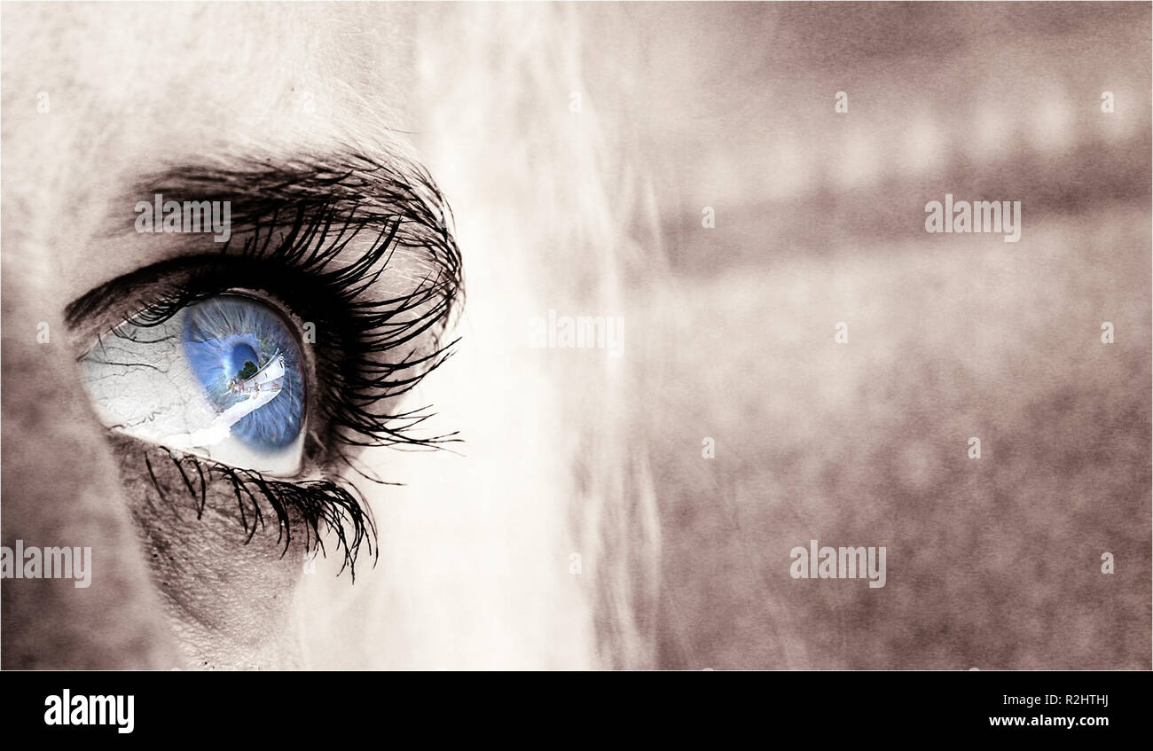 the way to the light Stock Photo - Alamy
