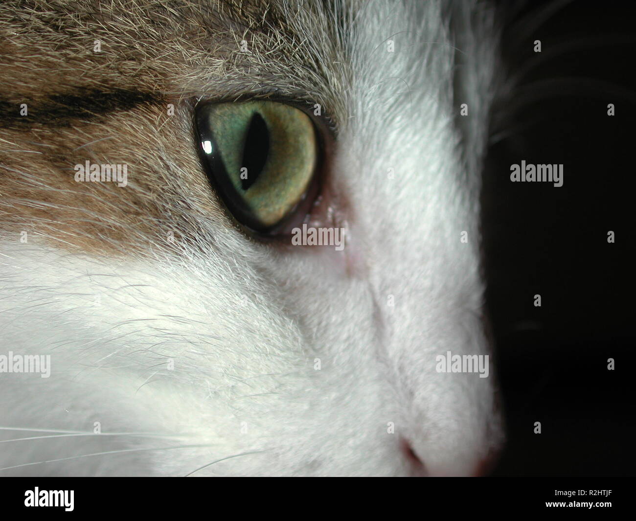 Eye kajal hi-res stock photography and images - Alamy