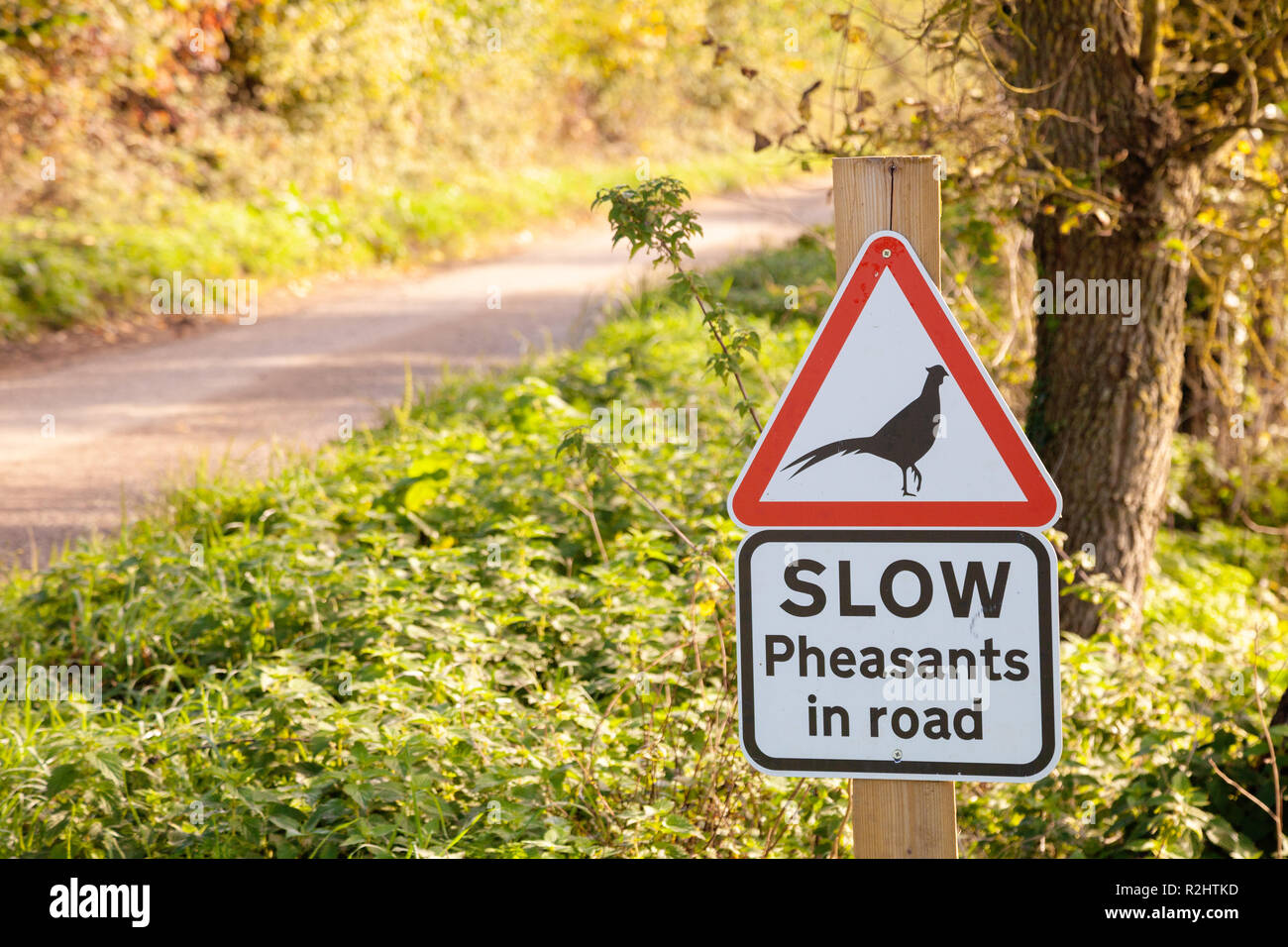 Unusual Road Sign High Resolution Stock Photography and Images - Alamy