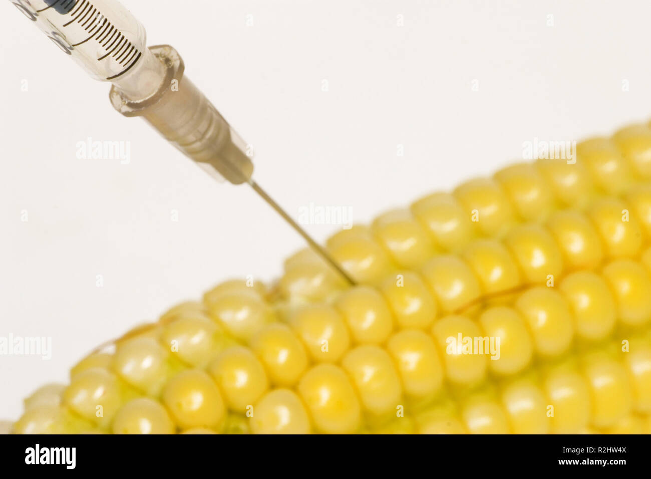 Maize genetics hi-res stock photography and images - Alamy