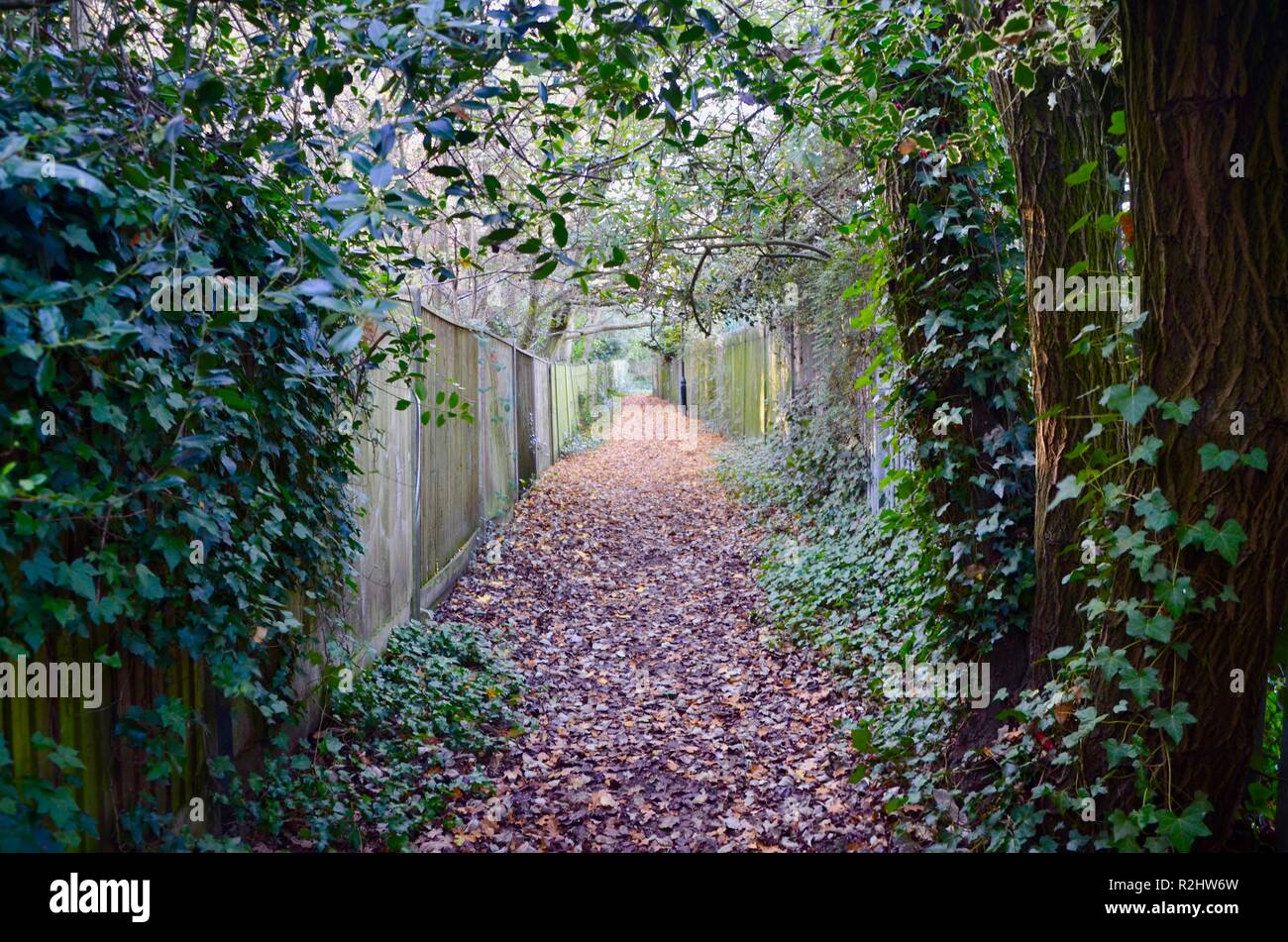 historic highgate wood north london N10 england Stock Photo - Alamy