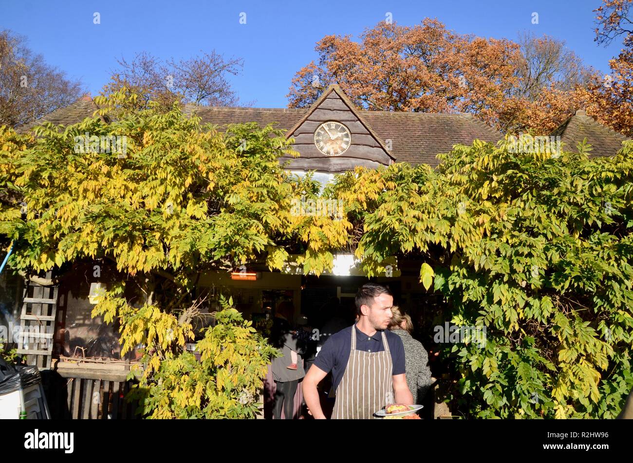 the pavillion cafe in historic highgate wood north london N10 england ...