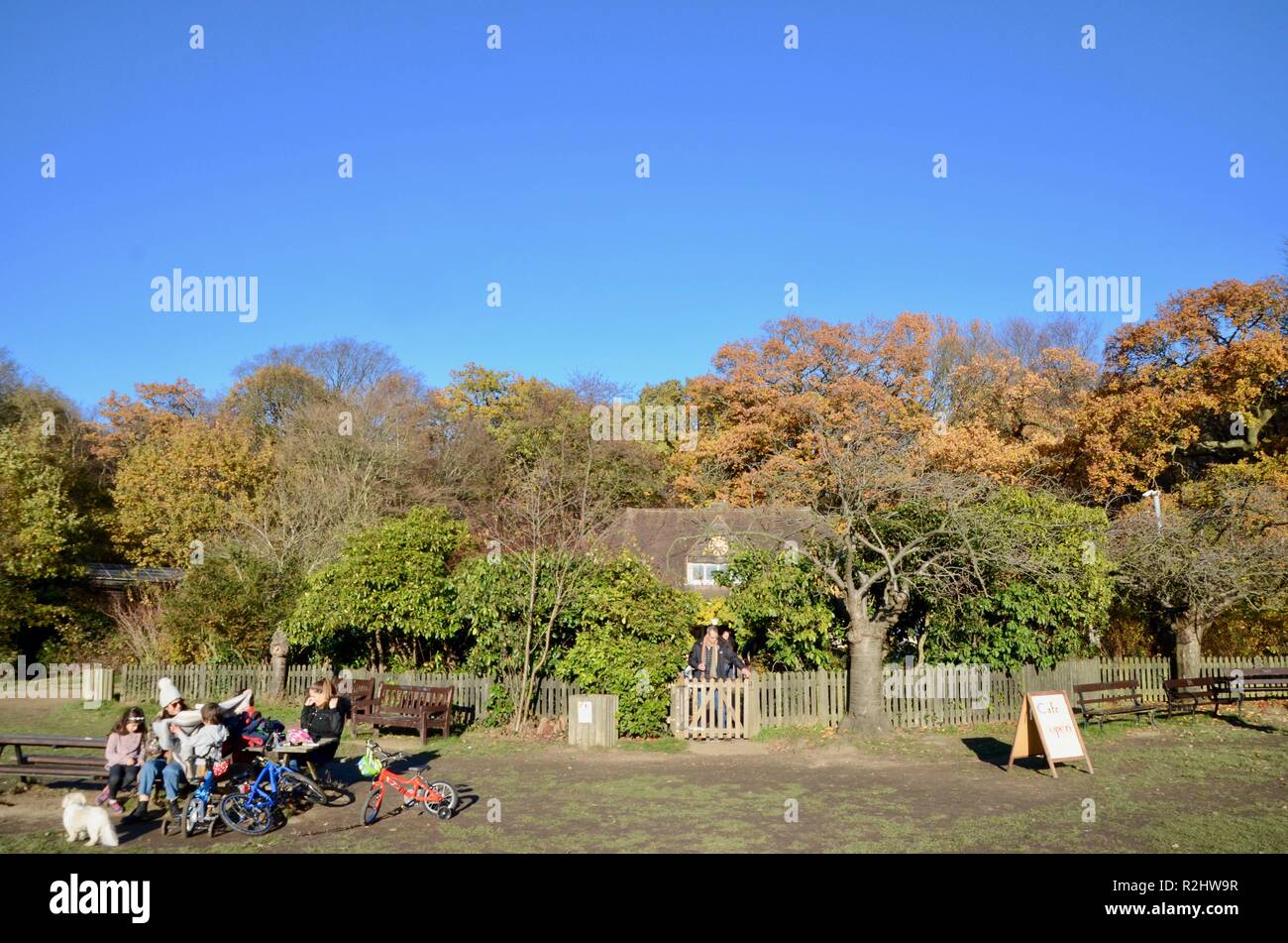 the pavillion cafe in historic highgate wood north london N10 england ...