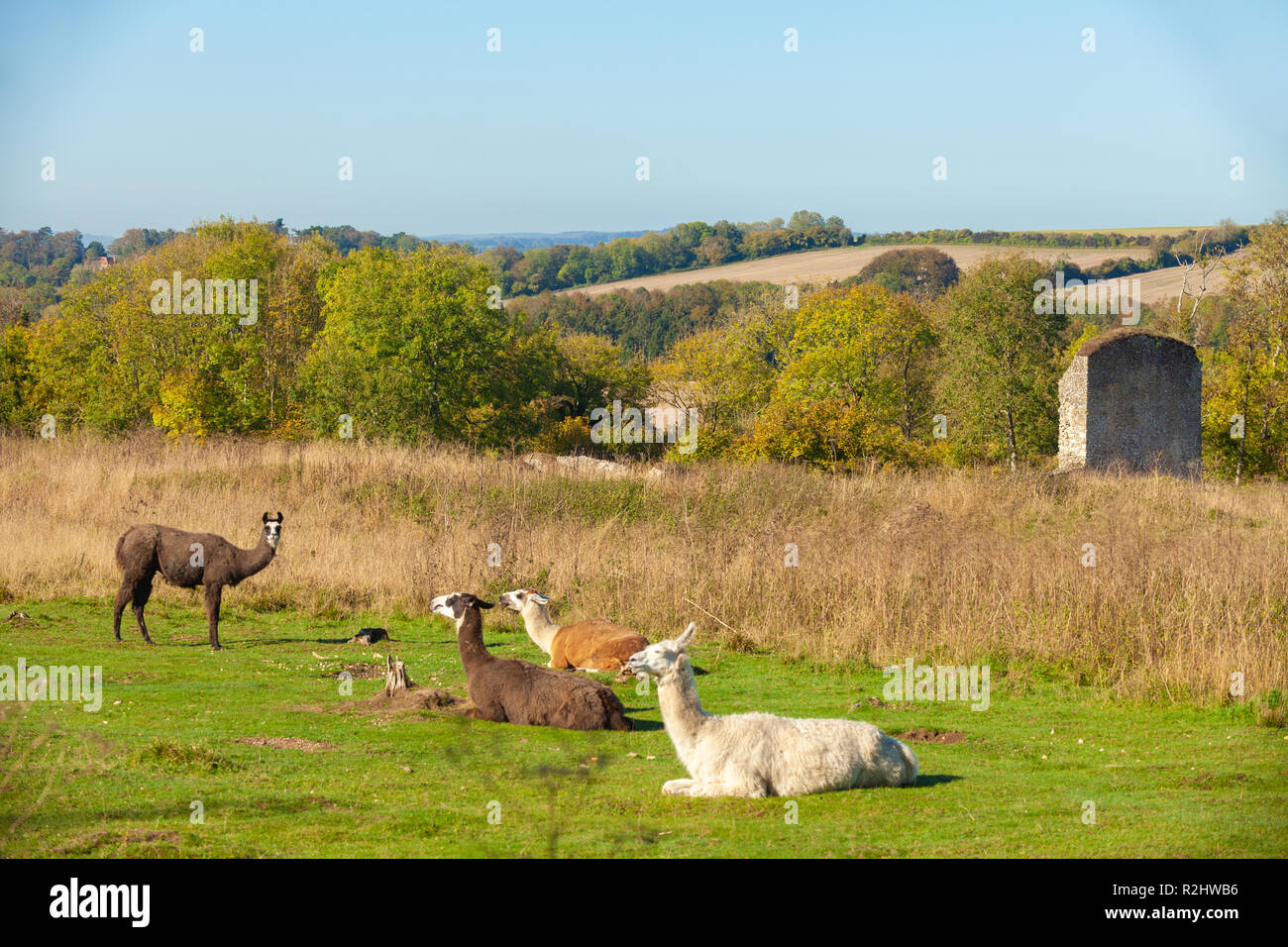Clarendon Palace High Resolution Stock Photography and Images - Alamy