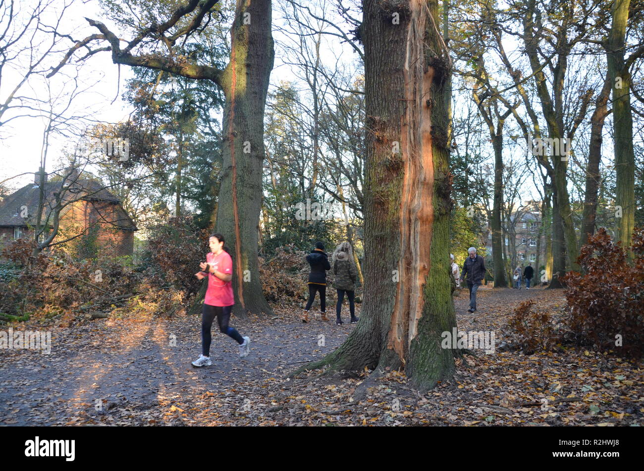 historic highgate wood north london N10 england Stock Photo - Alamy