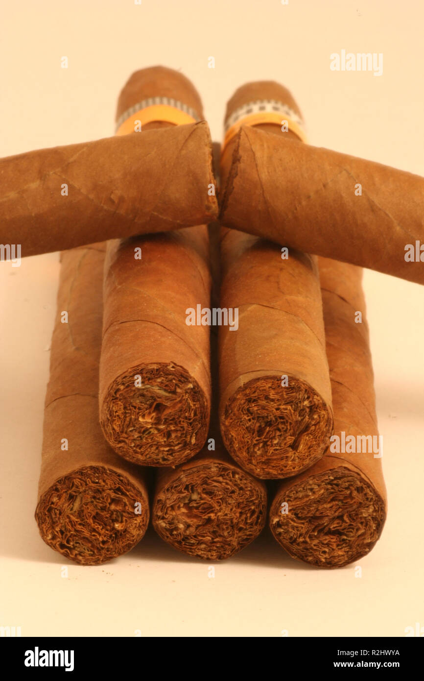 Zicar hi-res stock photography and images - Alamy